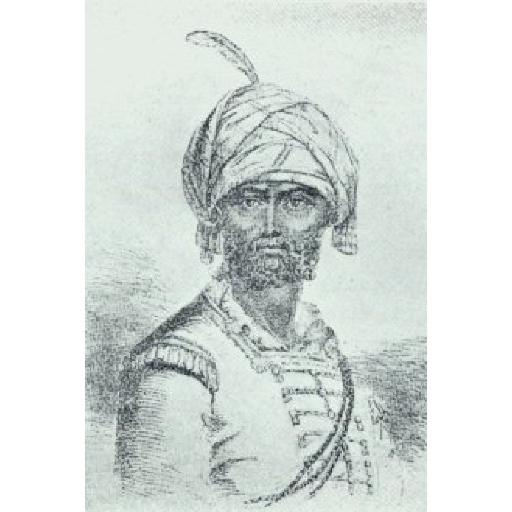 ஹைதர் அலி - கா.அப்பாதுரை - கௌரா பதிப்பகம்/சாரதா பதிப்பகம் | panuval.com